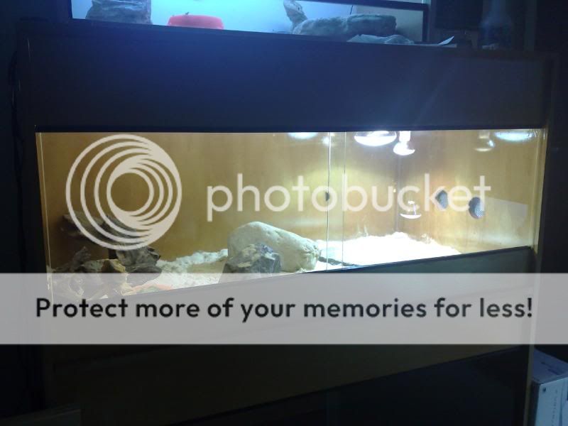 Megaray 70watt Metal Halide Setup Review | Reptile Forums