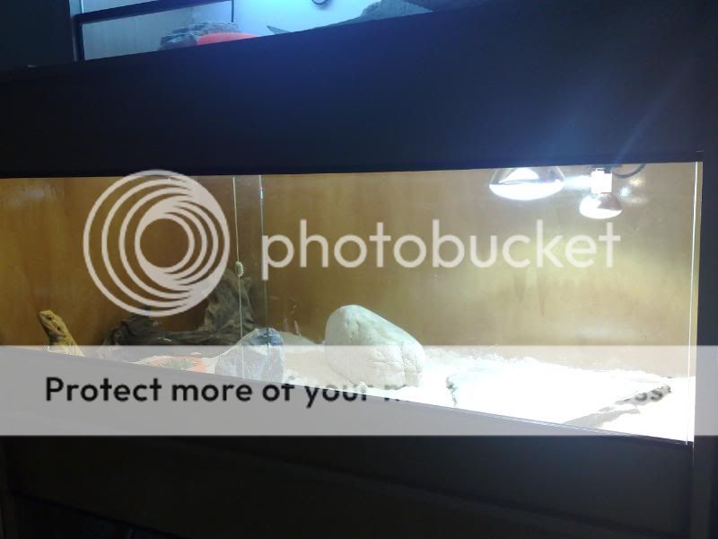 Megaray 70watt Metal Halide Setup Review | Reptile Forums