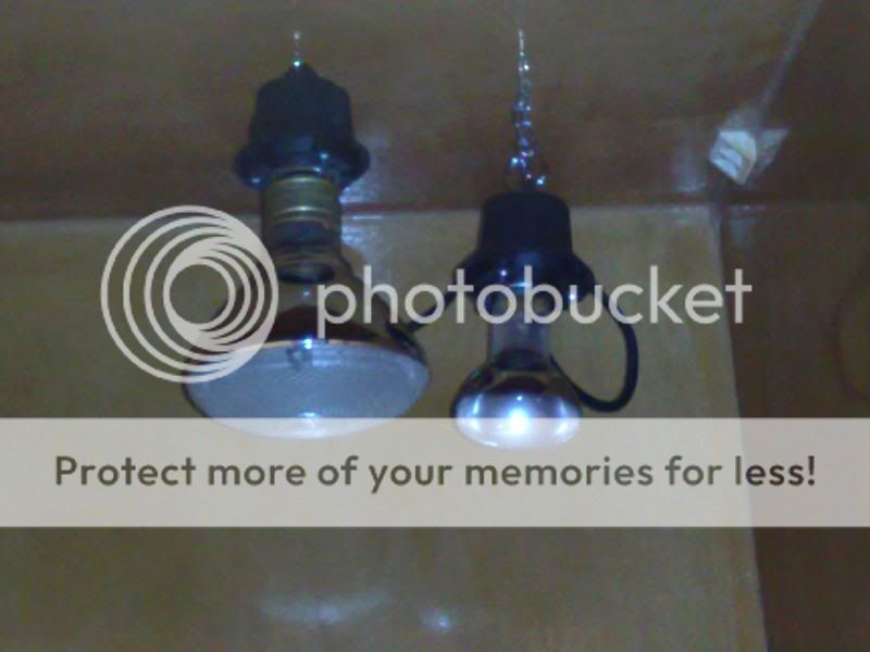 Megaray 70watt Metal Halide Setup Review | Reptile Forums