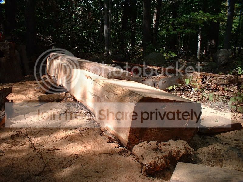 oak cant | Arborist, Chainsaw & Tree Work Forum