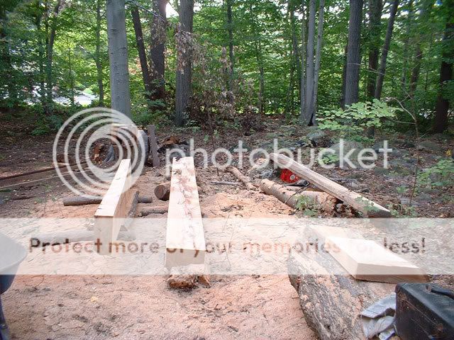 oak cant | Arborist, Chainsaw & Tree Work Forum