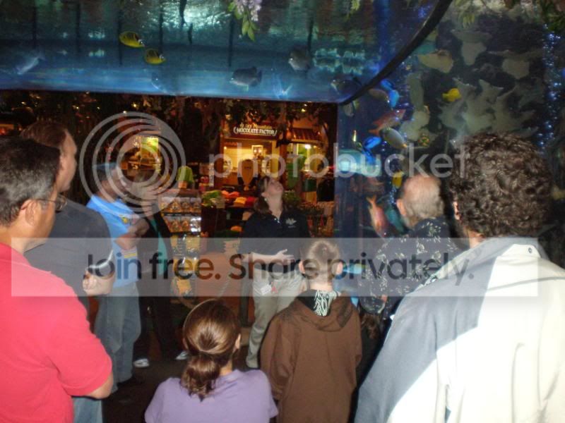 Rainforest Cafe Tour Pics | Michigan Reefers