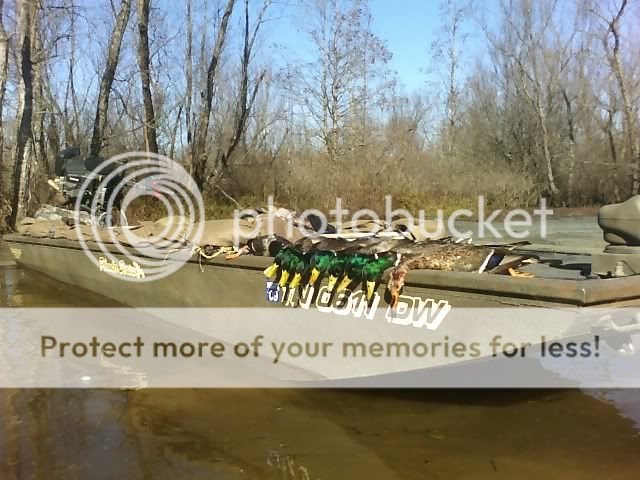 Prodrive Motor on a Phowler Boat | Duck Hunting Forum