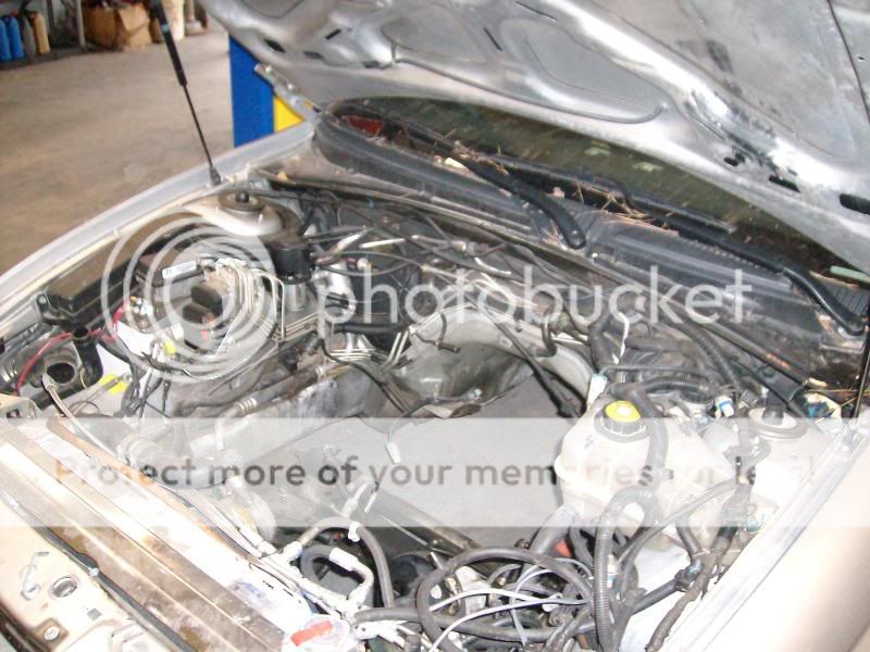 Mini Tub @ ETMC is under way | LS1GTO Forums