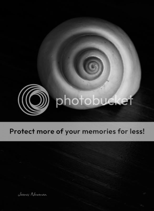 A Shell of My Former Self | Open Photography Forums