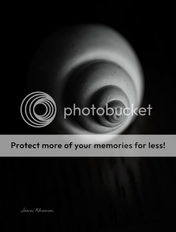 A Shell of My Former Self | Open Photography Forums